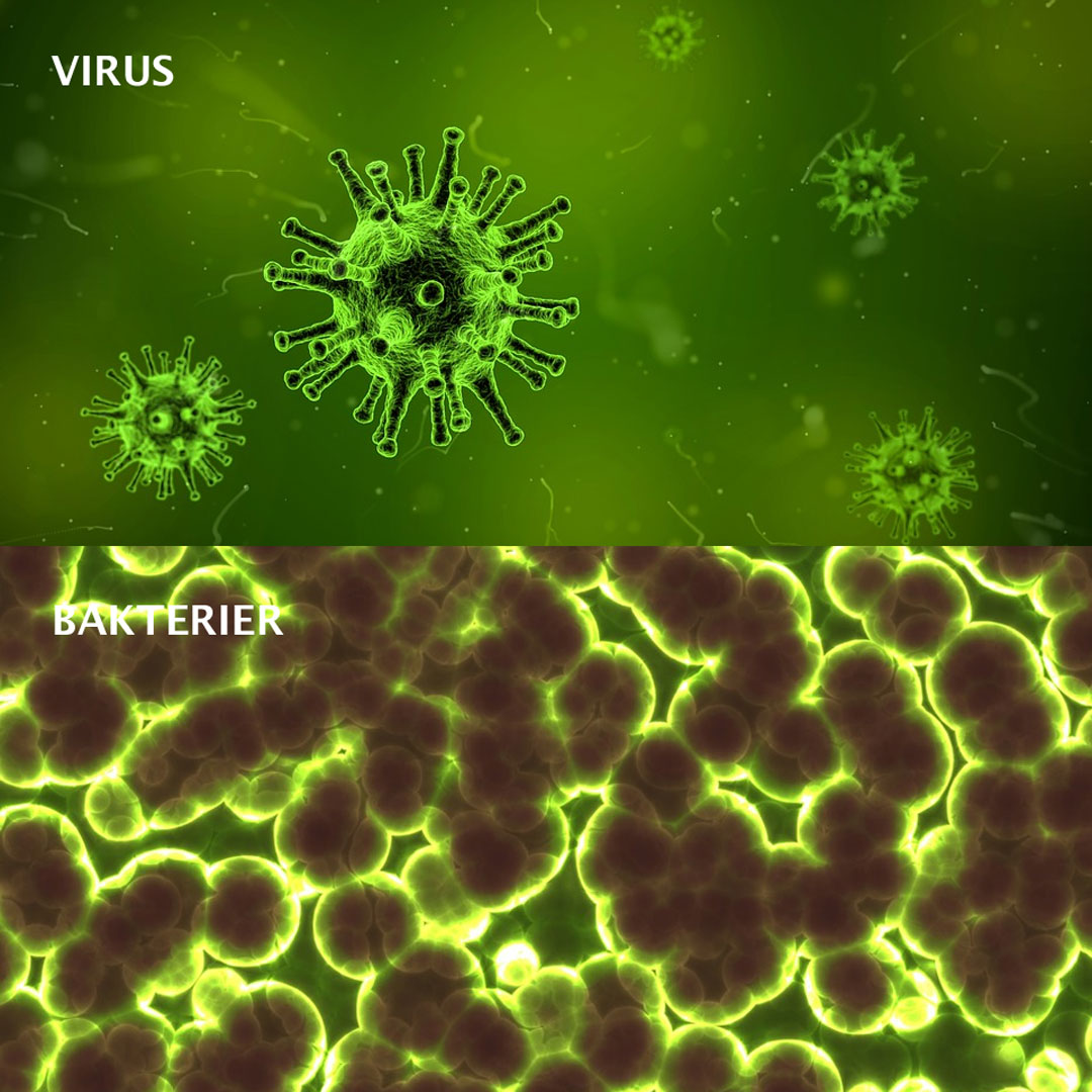 Incino Sverige AB - Virus